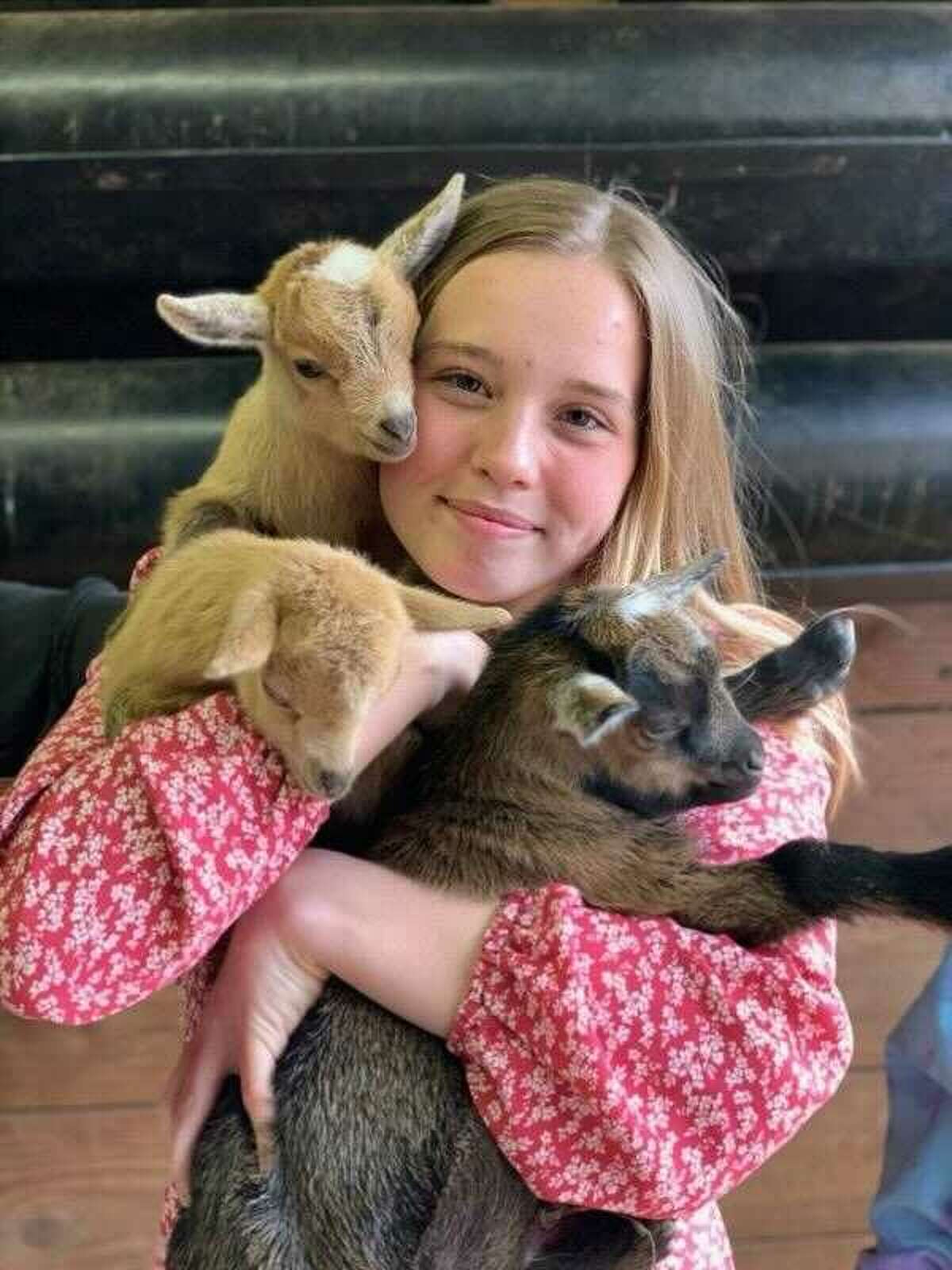 Kevin Bacon and Kyra Sedgwick visit CT farm to pick new baby goats