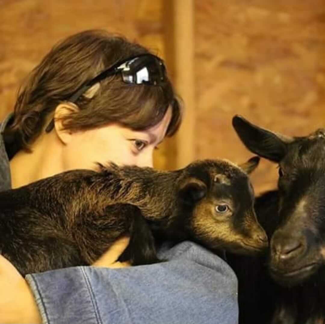 CT farm visited by Kevin Bacon goes viral for the second time