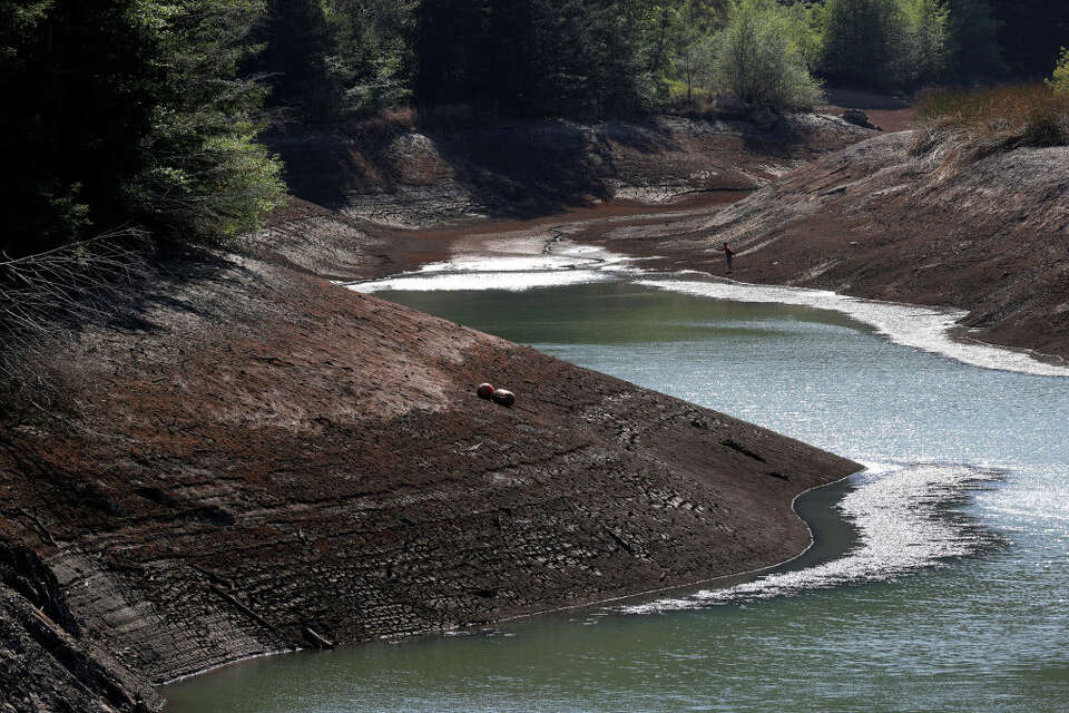 'Beyond depressing': What happened to Phoenix Lake? A favorite Bay Area ...
