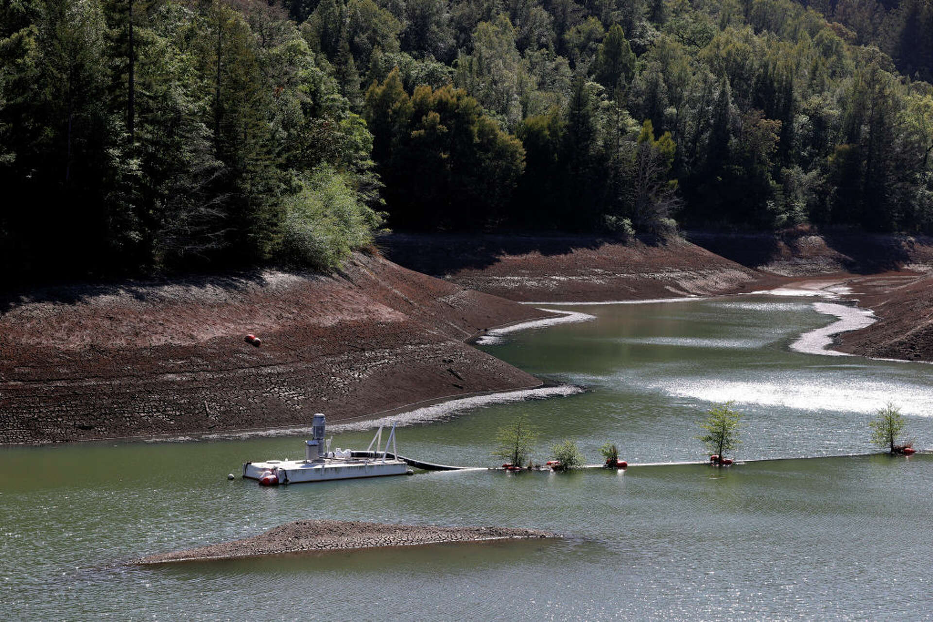 'Beyond depressing': What happened to Phoenix Lake? A favorite Bay Area ...