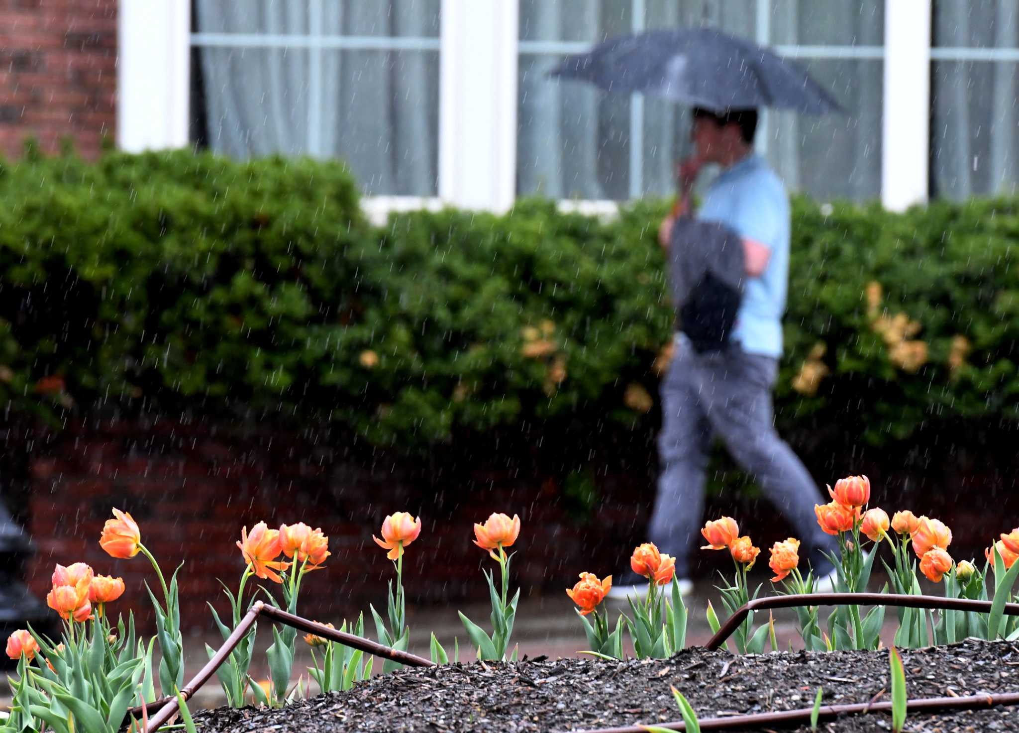 Jason Gough's forecast: Where did spring go?