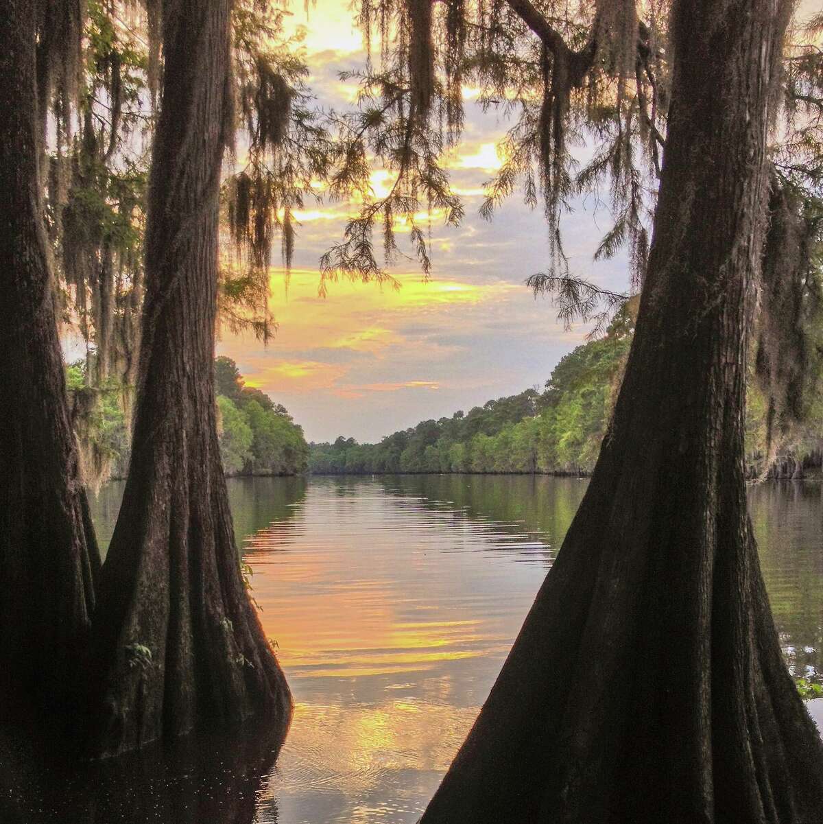 On the Texas-Louisiana border, Caddo Lake’s history is the stuff of legend