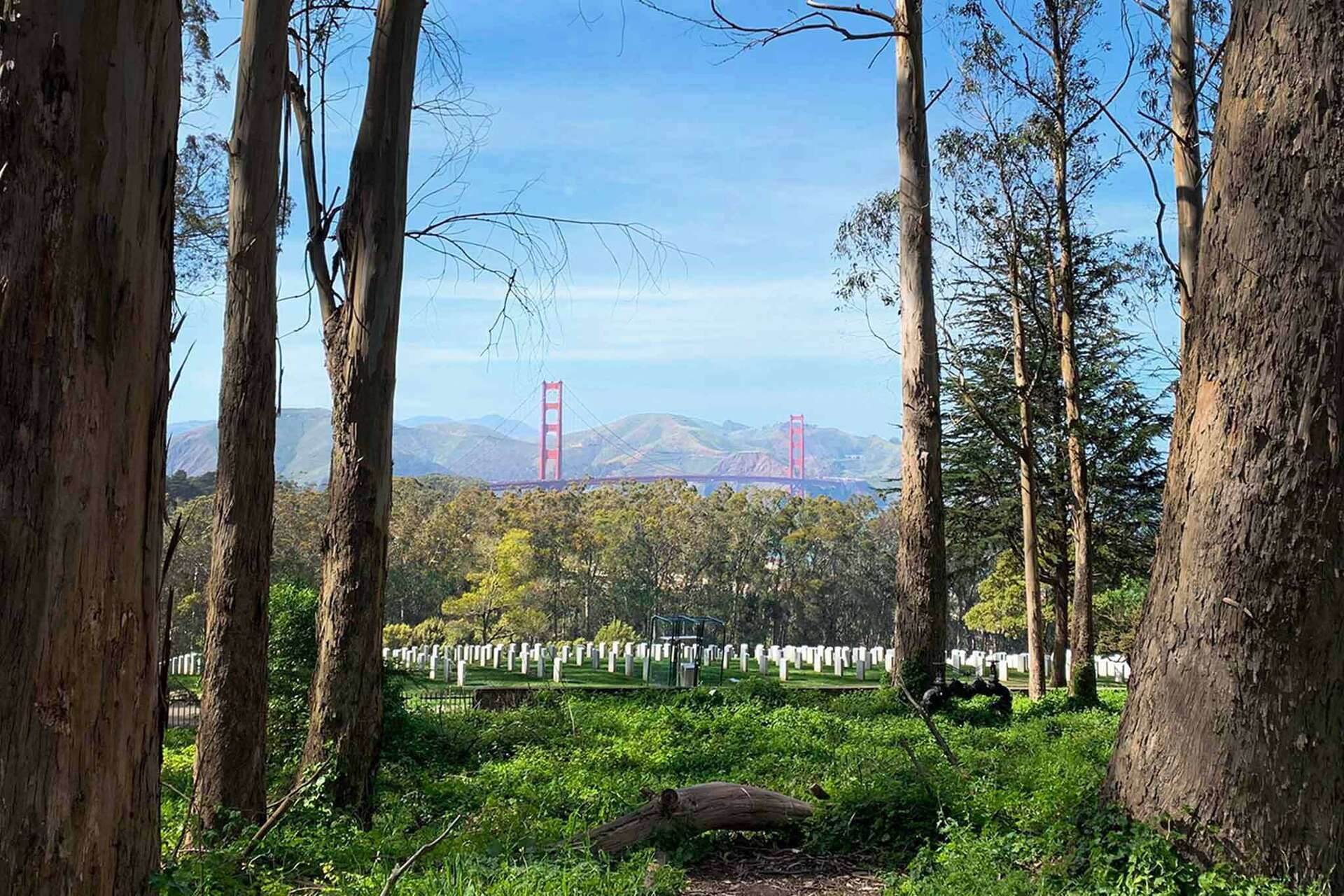 Here’s what it’s like to spend the night in the Presidio at one of San ...