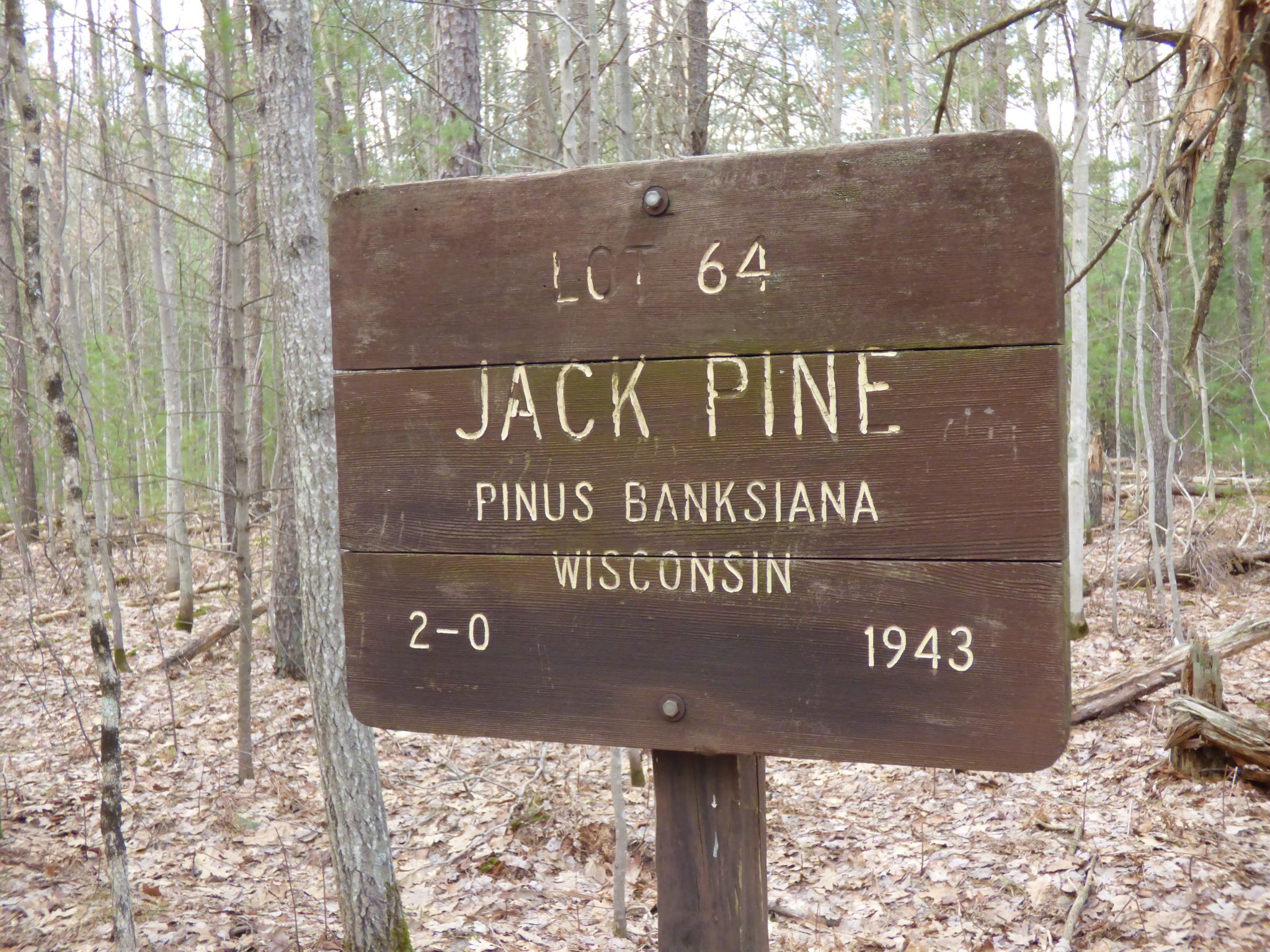 Volunteers needed to spruce up Arboretum Trail
