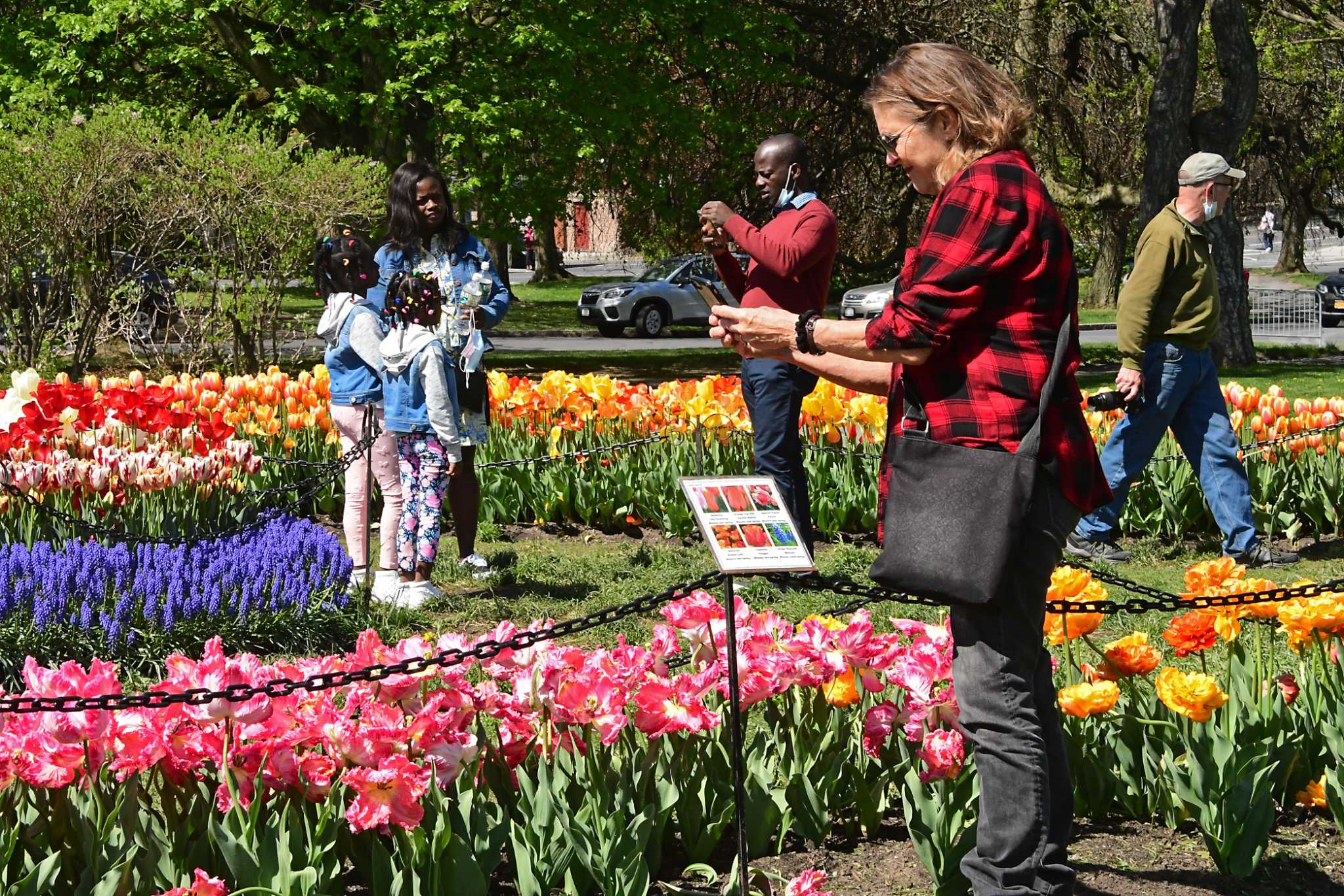 Festivals, fairs near Albany, Saratoga, Schenectady and Troy`