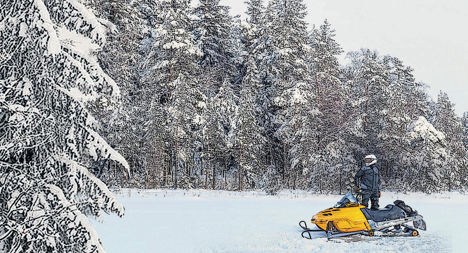 Reform DEC forest management