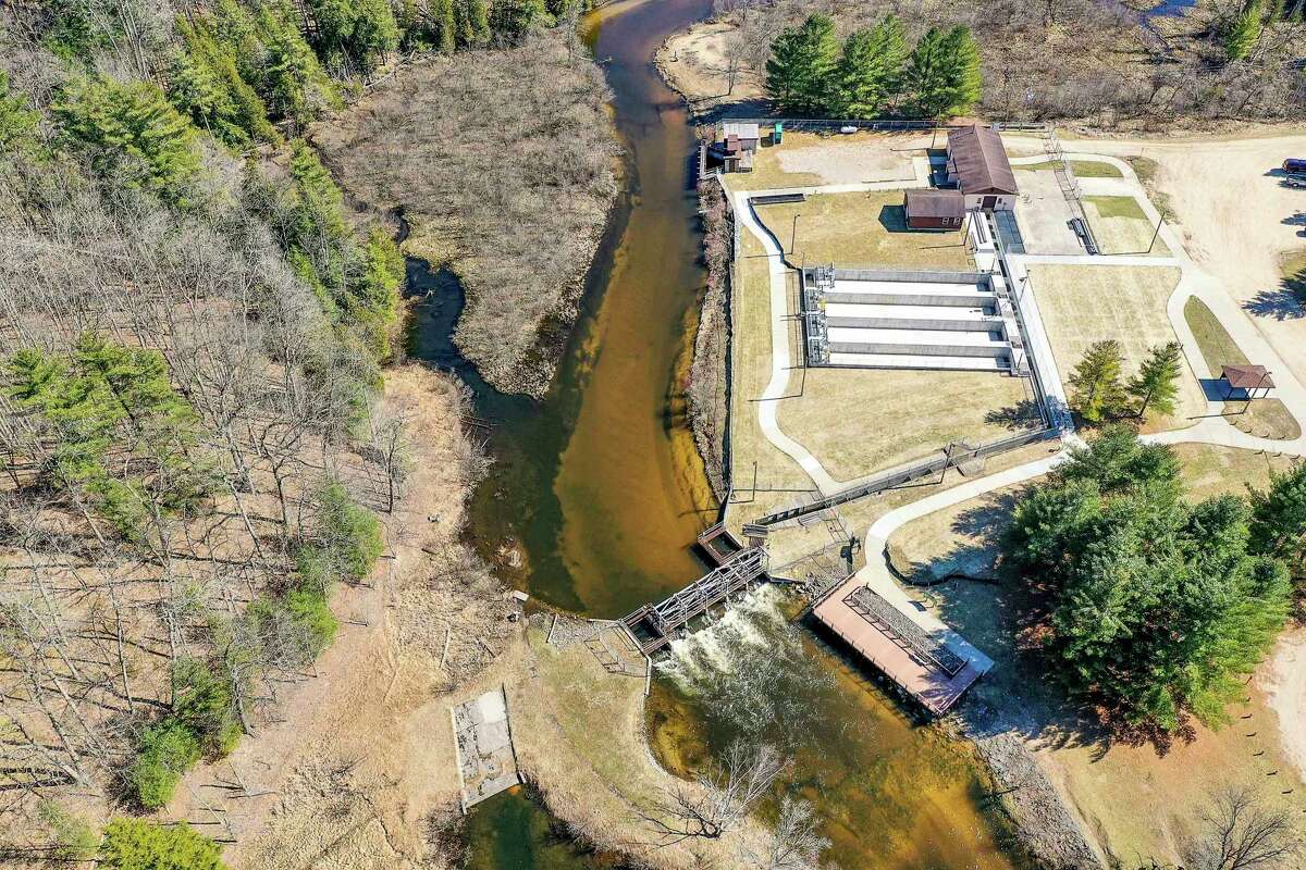 SHOWCASING THE DNR: Egg collection on the Little Manistee River