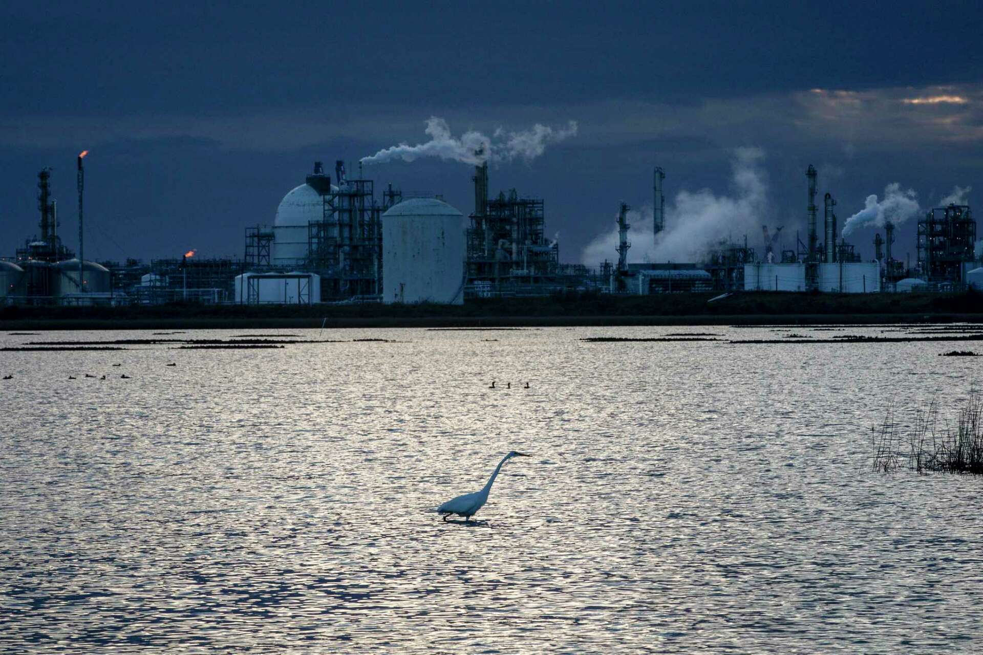 Environment | HoustonChronicle.com