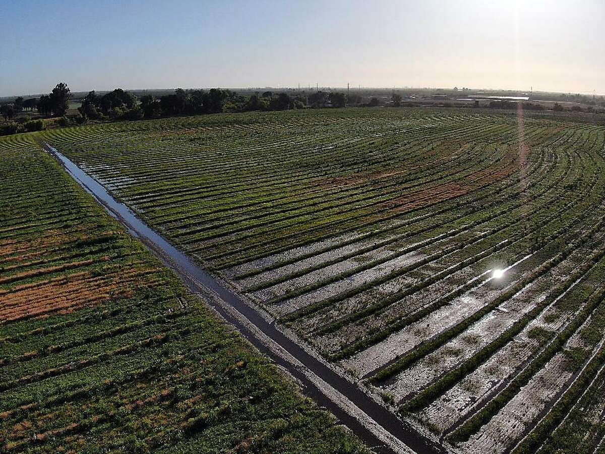 Could this $36 million Central Valley river restoration project help ...