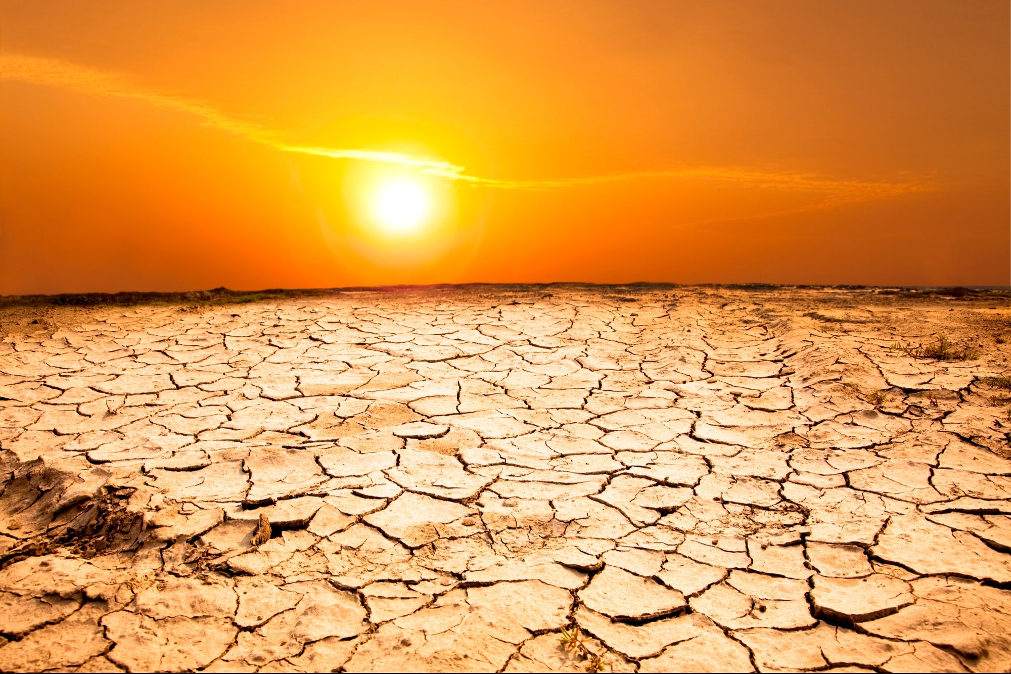Mexico is experiencing one of the most widespread and intense droughts ...