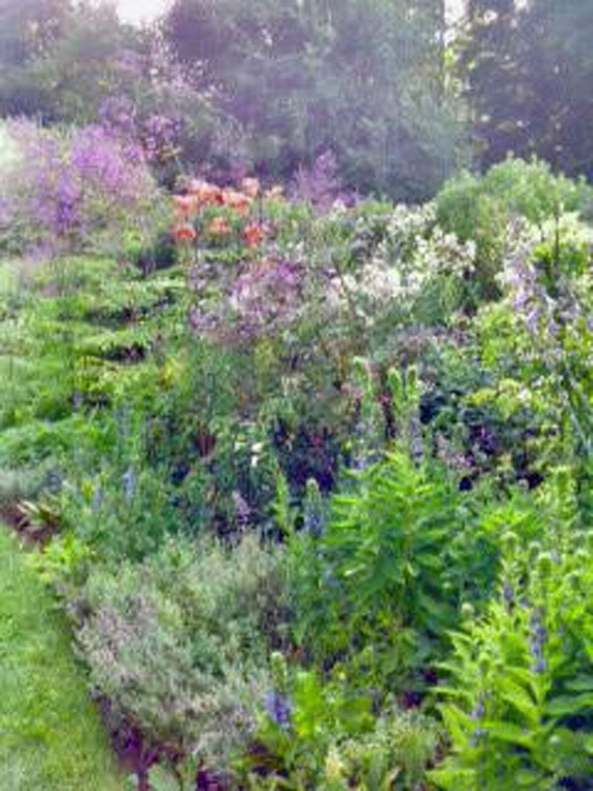 Woodbury’s Glebe House Museum holding Wine & Roses Garden Party