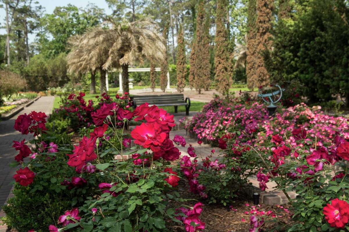 Mercer Botanic Gardens spruces up and features Houston-hardy plants