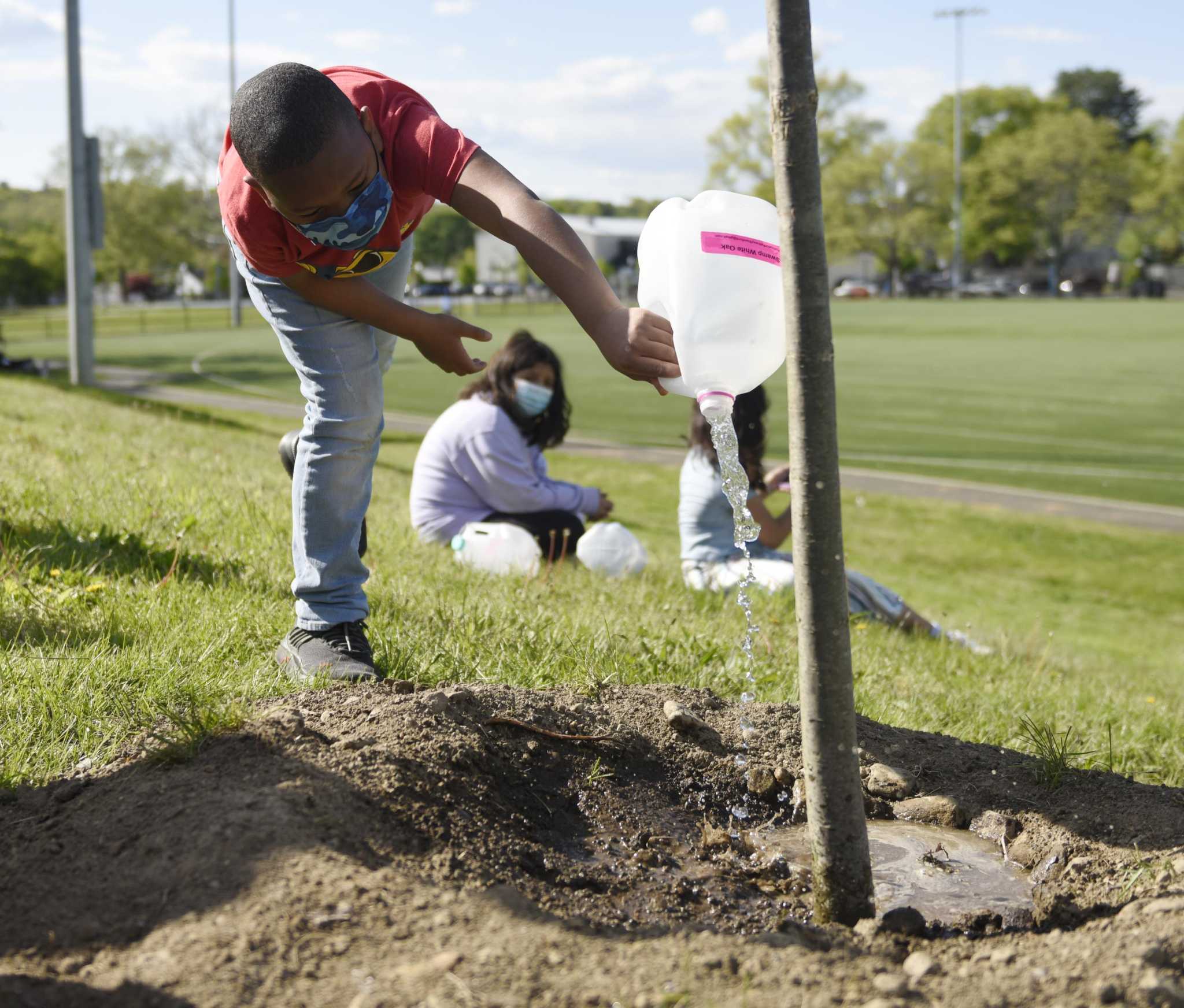 In photos: Stamford kids help Pollinator Pathway trees flourish