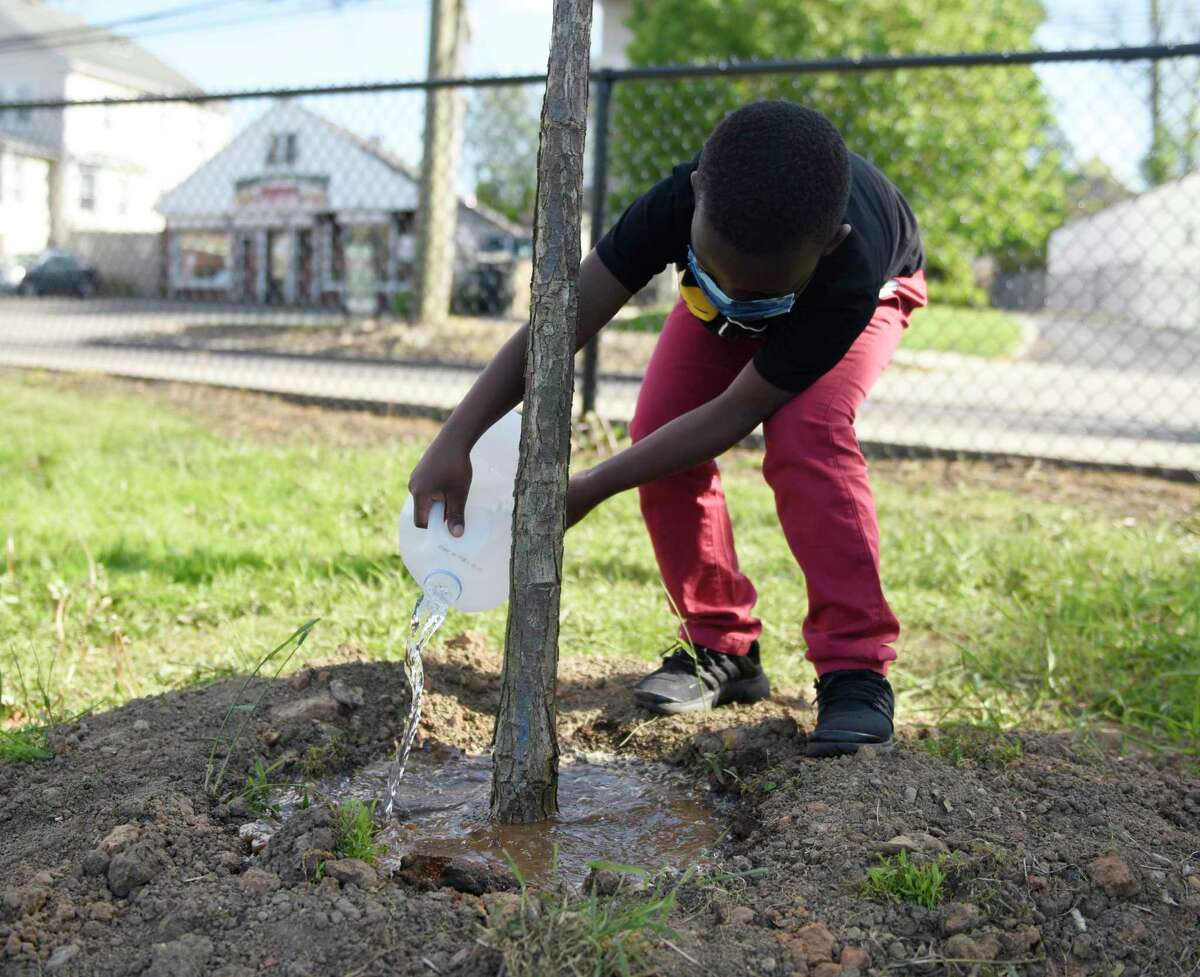 In photos: Stamford kids help Pollinator Pathway trees flourish