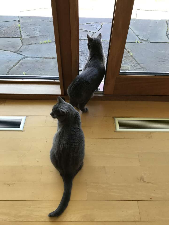 At home upstate with Ruth Reichl