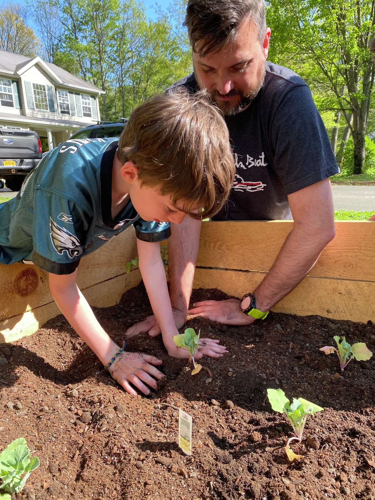Beds raise the hope for a bountiful harvest