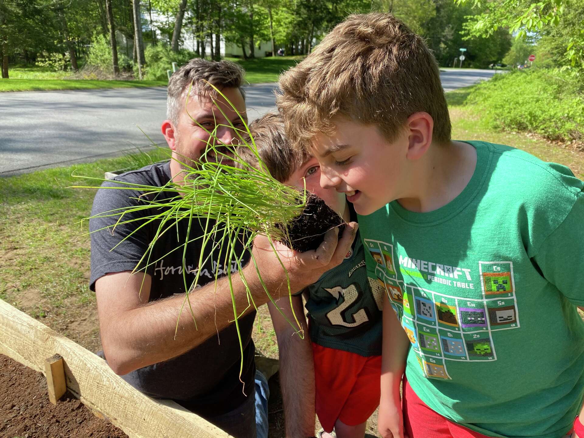 Beds raise the hope for a bountiful harvest