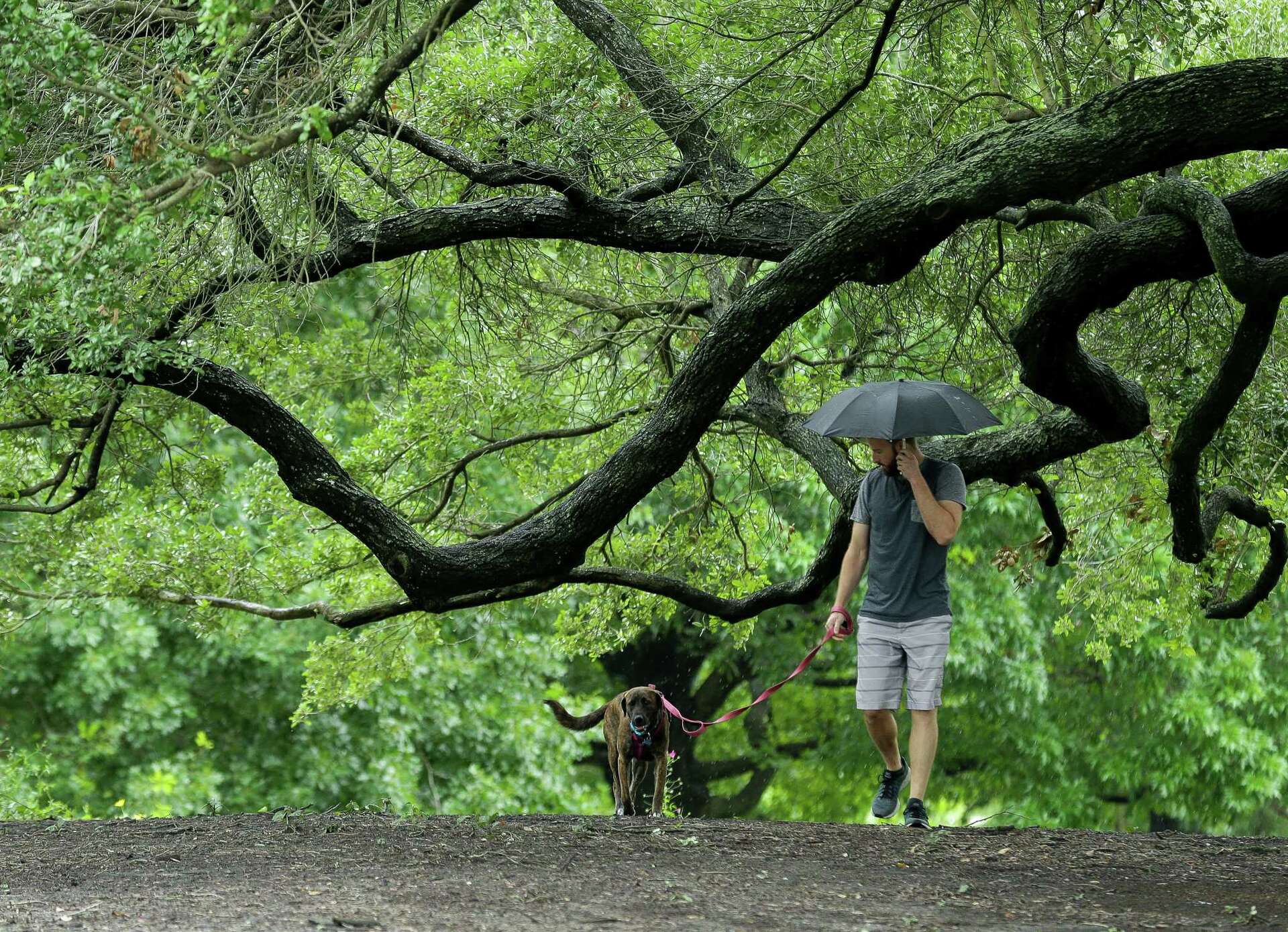 Photos of litter at Houston Buffalo Bayou Park spark cleanup