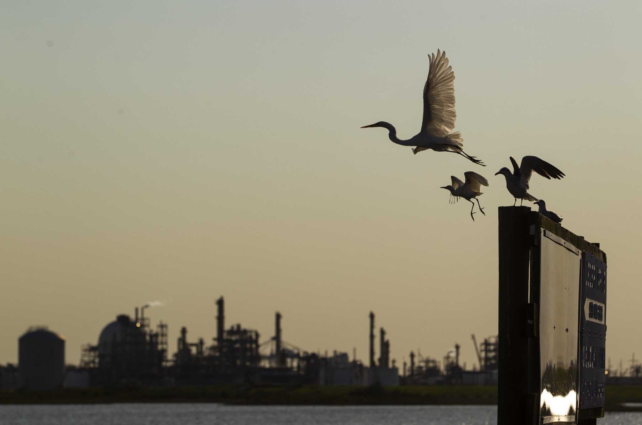 Why is it smoky in Houston? How Texas skies got so hazy lately