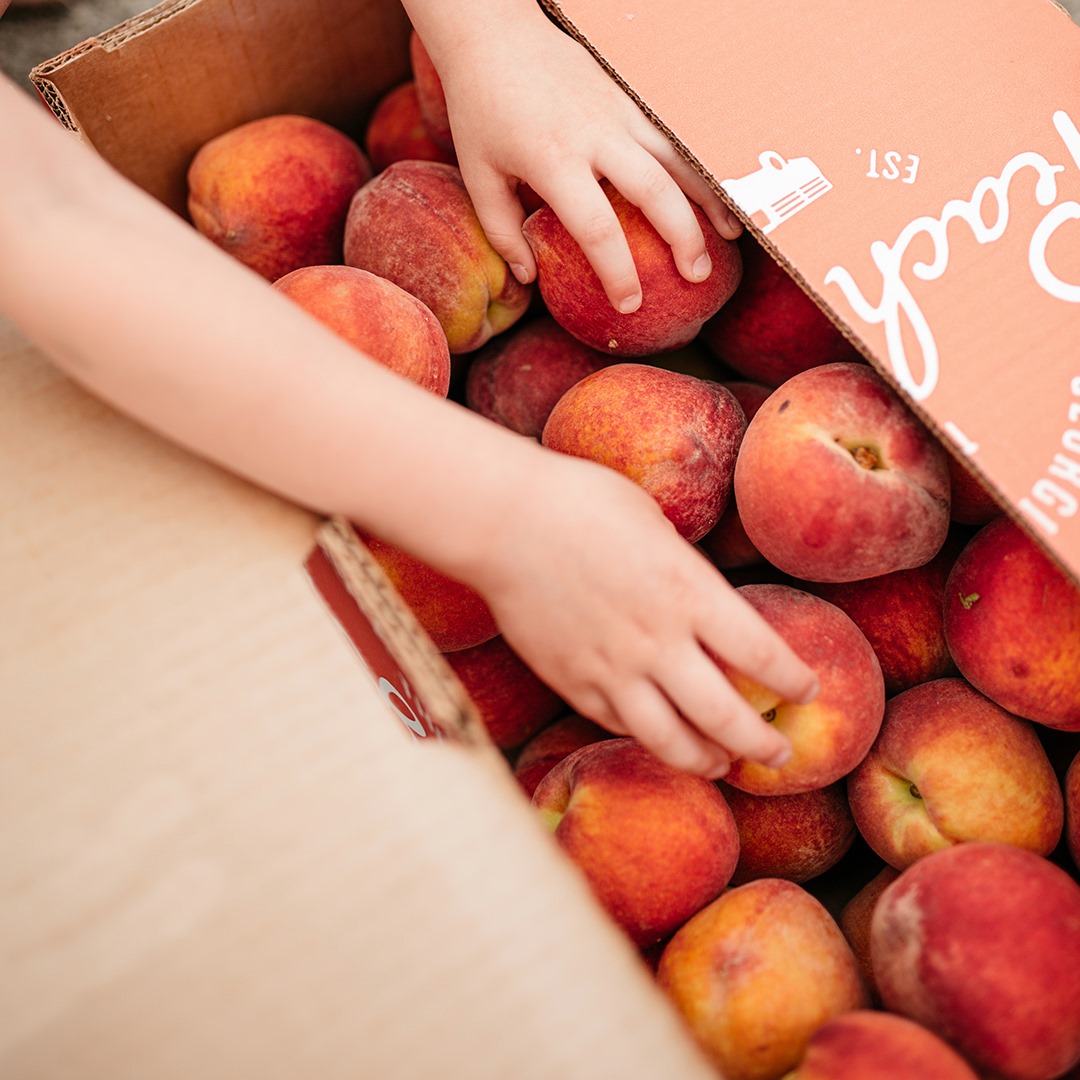Where to pick the best peaches in the Texas Hill Country