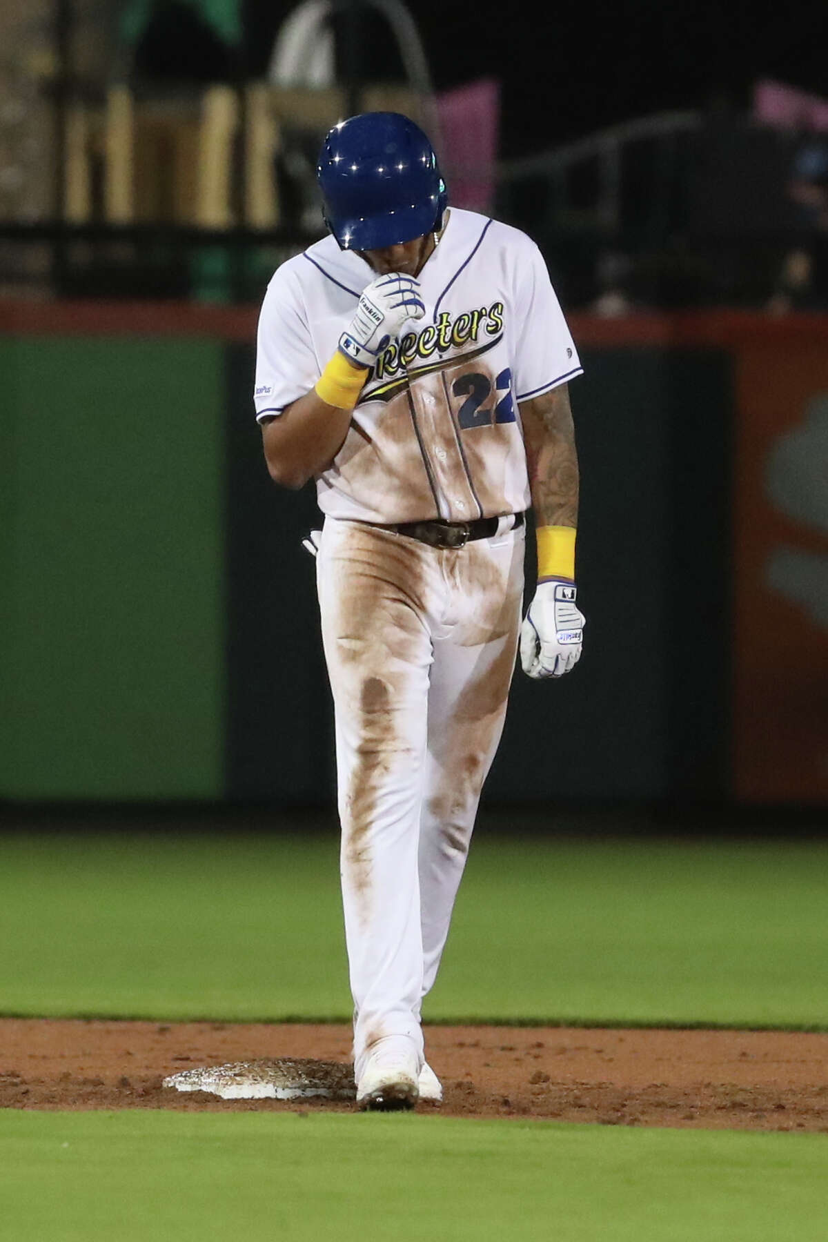 For Sugar Land Skeeters, a night of baseball to cherish