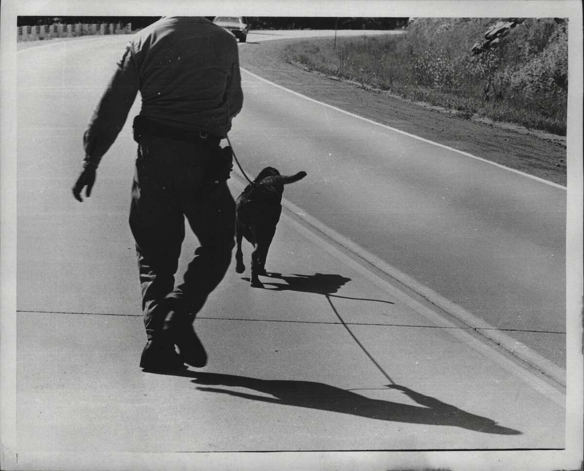 Book charts Adirondacks serial killer's deadly path