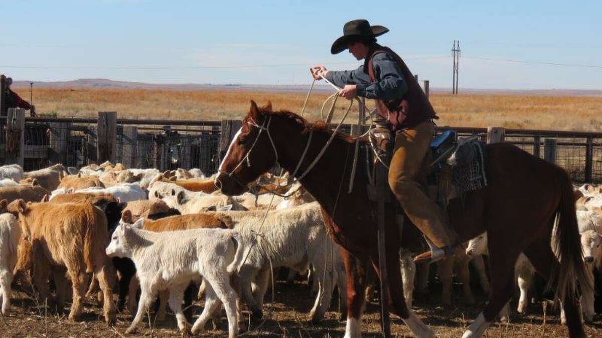 Turkey Track ranch goes to sale