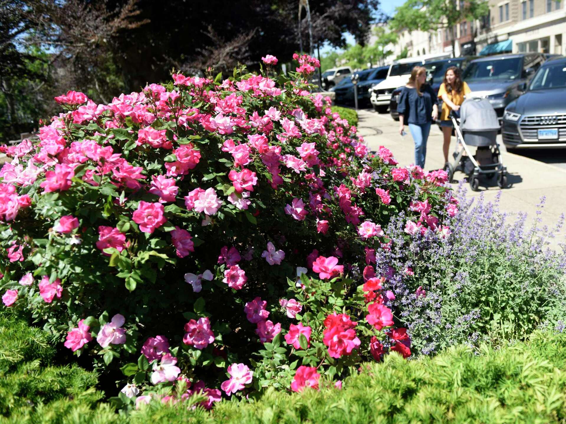 5 cute Connecticut towns to visit in spring 2023