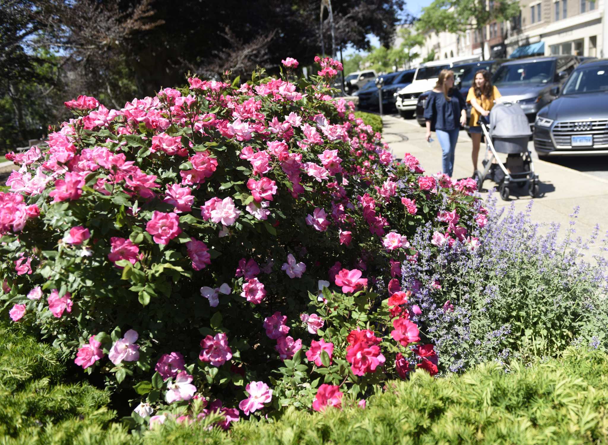 5 cute Connecticut towns to visit in spring 2023