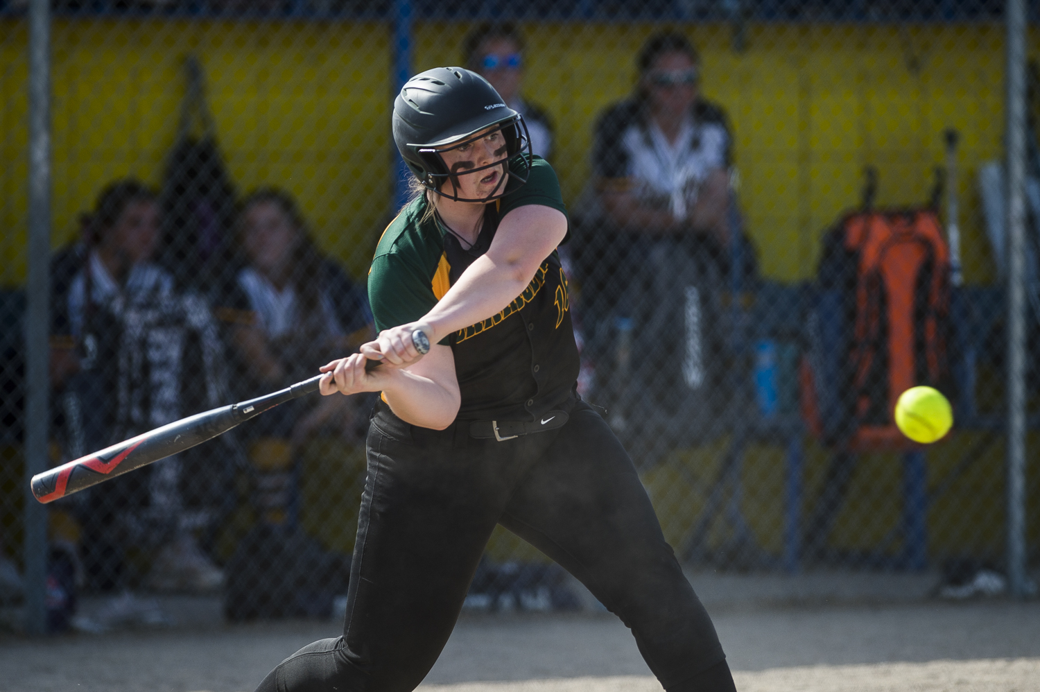 Dow softball sets home run record, feeling good as postseason nears