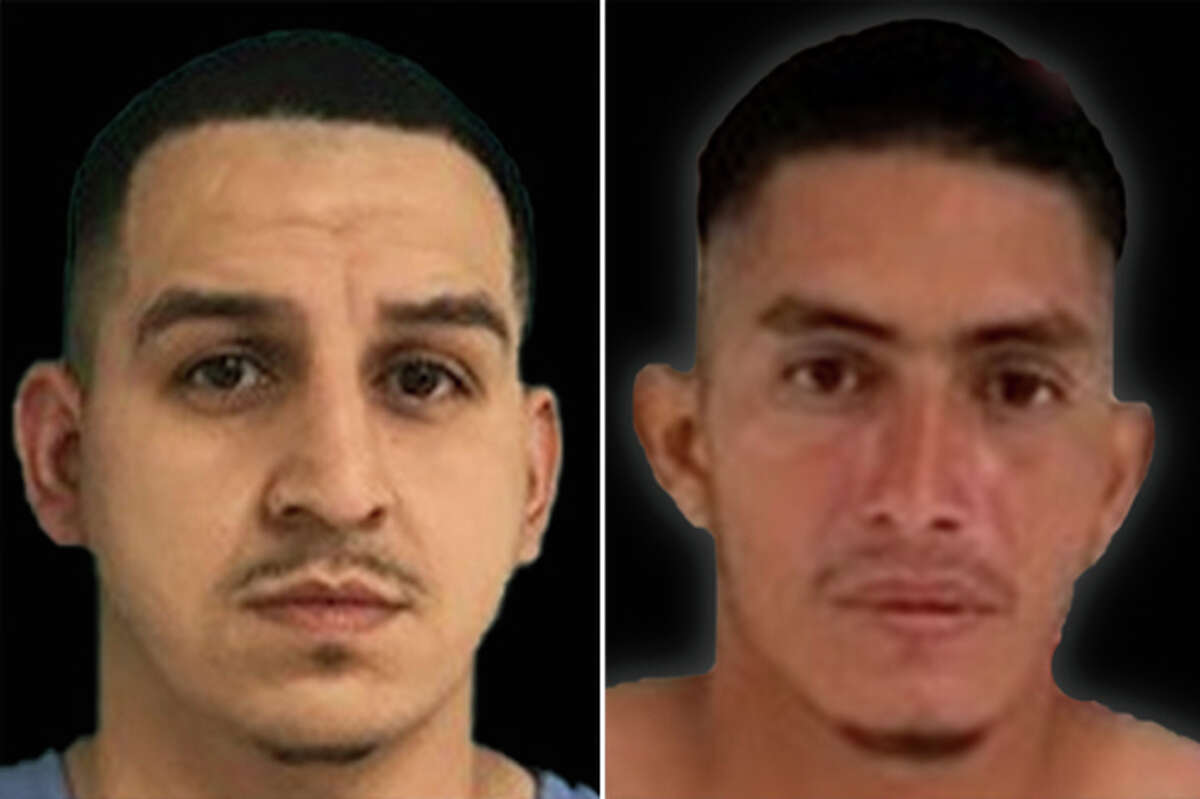 USBP arrests cartel hitman, gang member