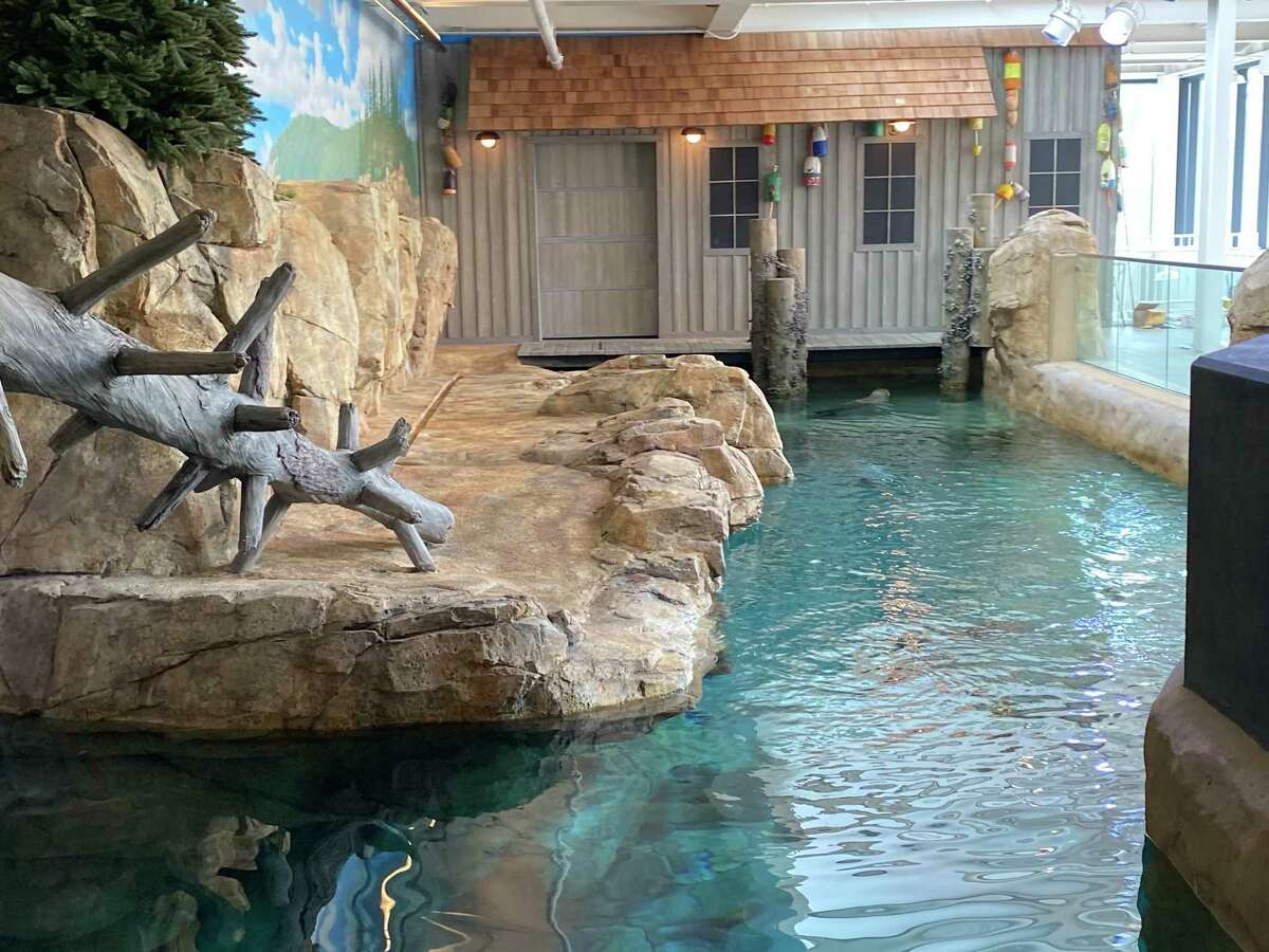 Maritime Aquarium to reveal their palace-like new seal exhibition on ...