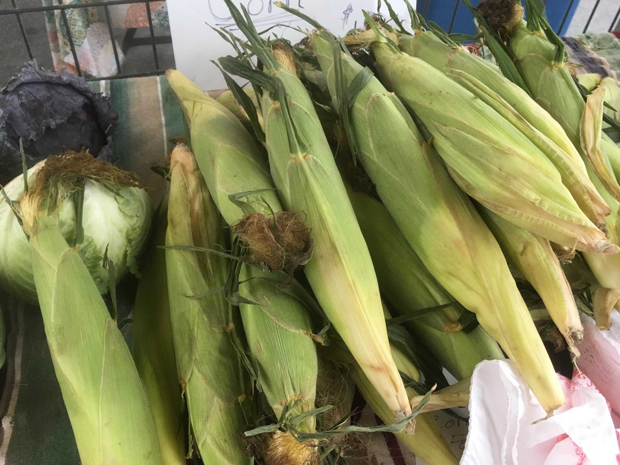 How to select, store and cook sweet corn on the cob for maximum flavor