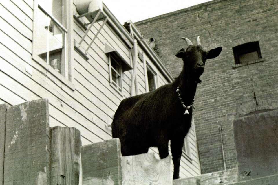 What happened to the Goat Lady of San Francisco's Potrero Hill?