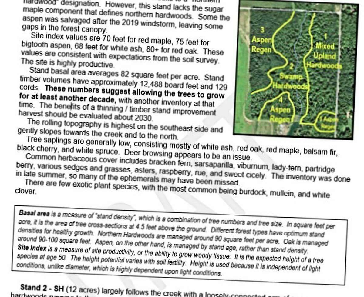 How to build a future for your forest land