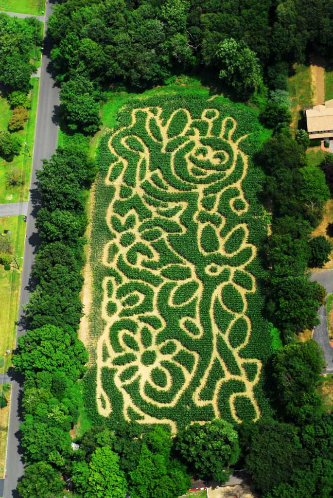 Getting lost in corn maze part of the fun