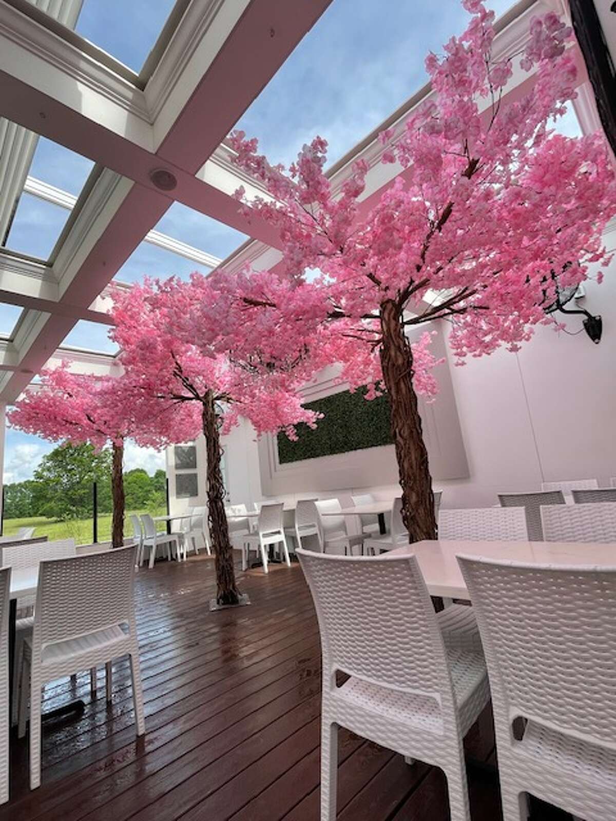 Connecticut restaurant with 'Harry Potter' dining room unveils new ...