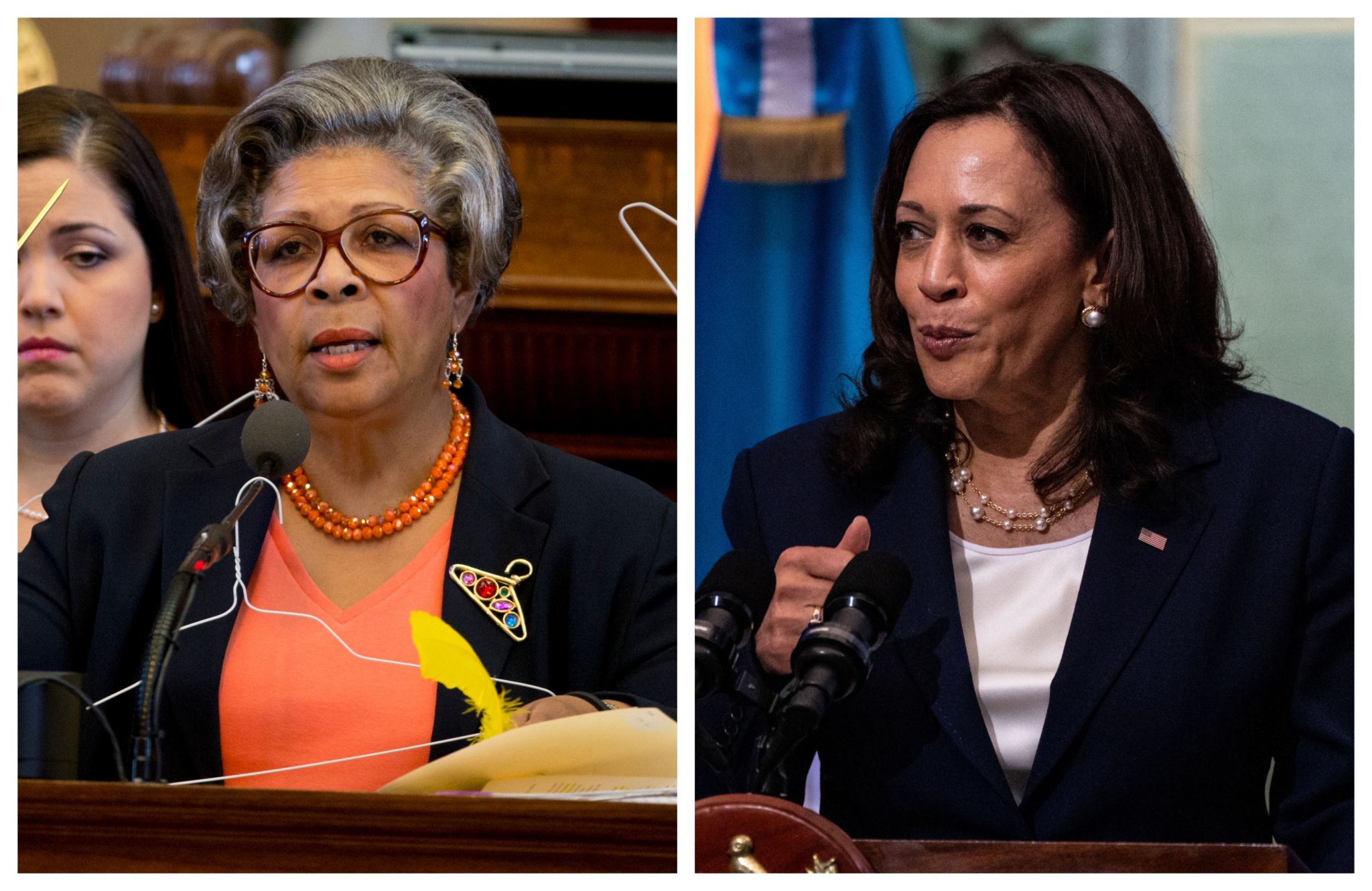 Texas Democrats to meet with VP Harris after blocking voter suppression ...