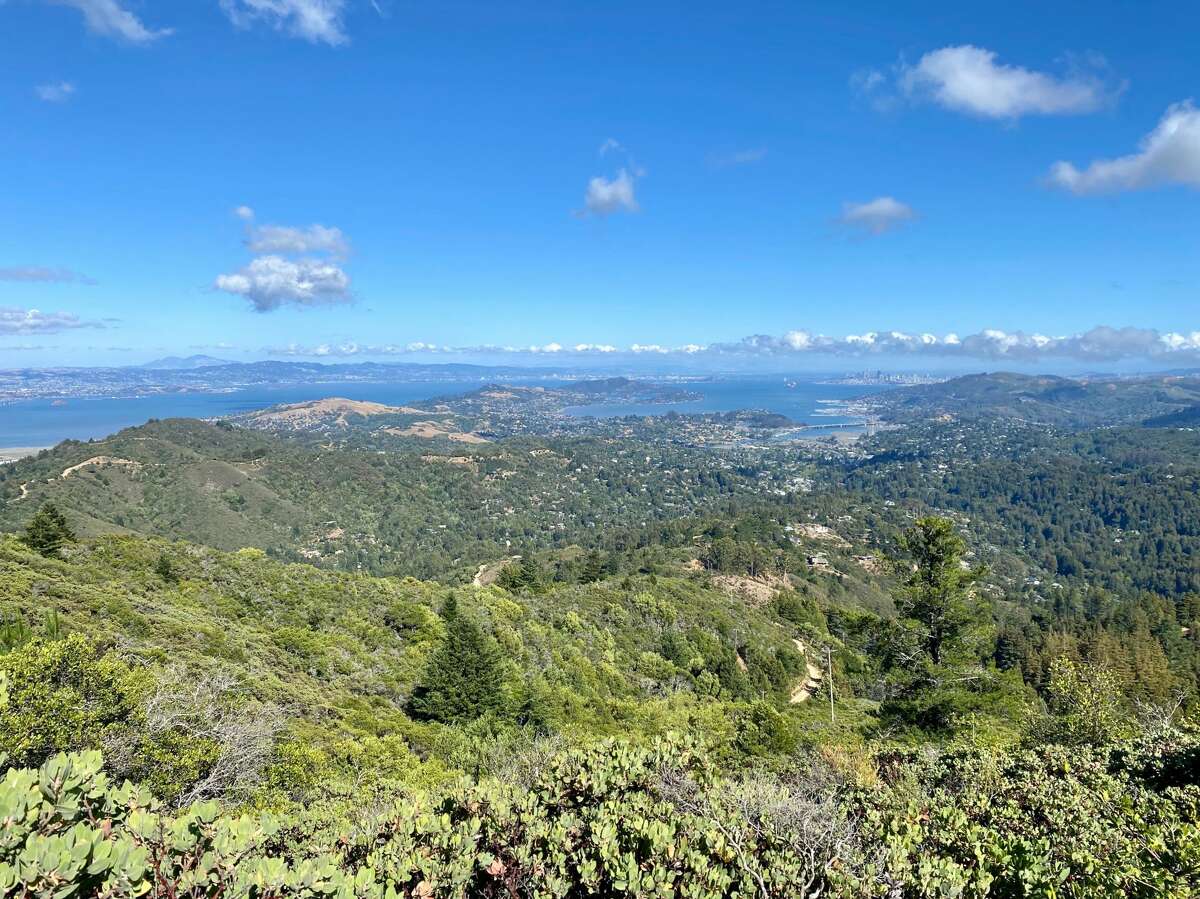 Mount Tam's haunted by a fatal plane crash. We found its remains.