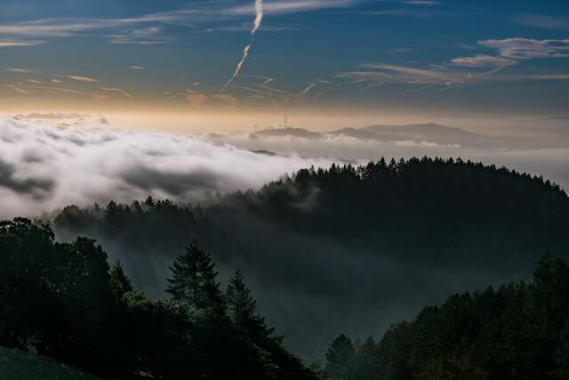 Explore Mill Valley, one of the best small towns in America