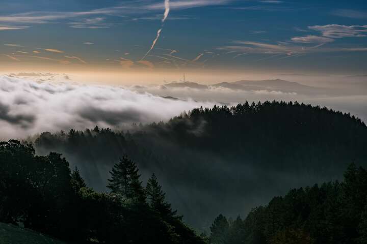 Explore Mill Valley, one of the best small towns in America