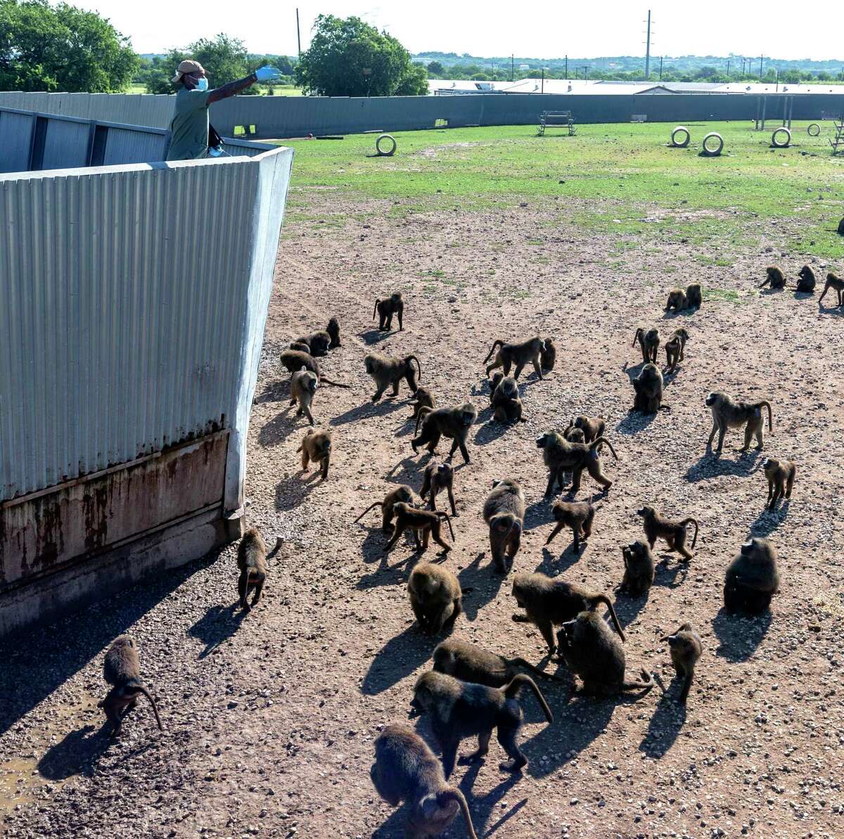 San Antonio's Texas Biomed expanding work