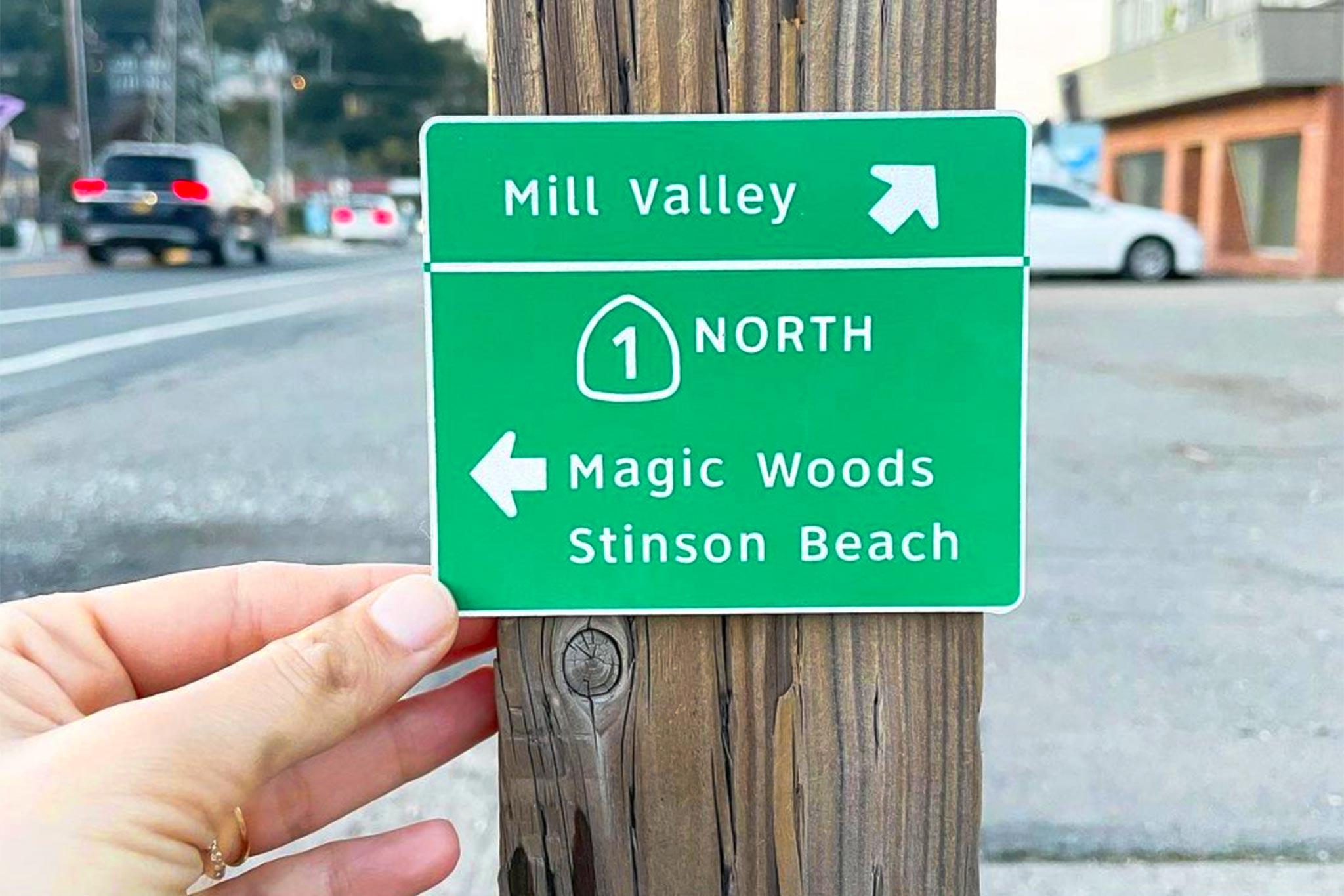 Meet the Mill Valley woman behind the 24 miniature freeway signs hidden ...