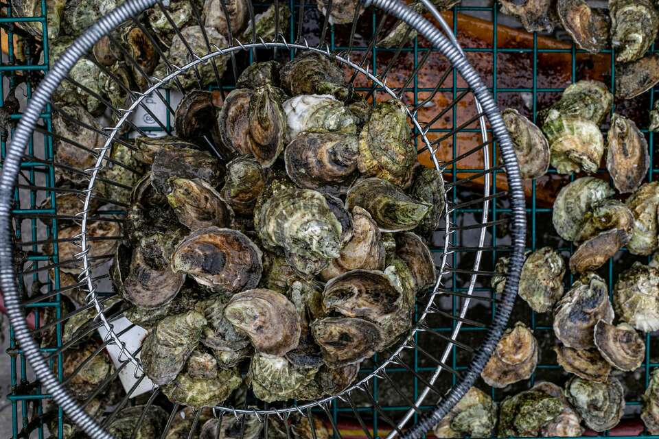 Connecticut launches first-ever Oyster Trail to champion local seafood