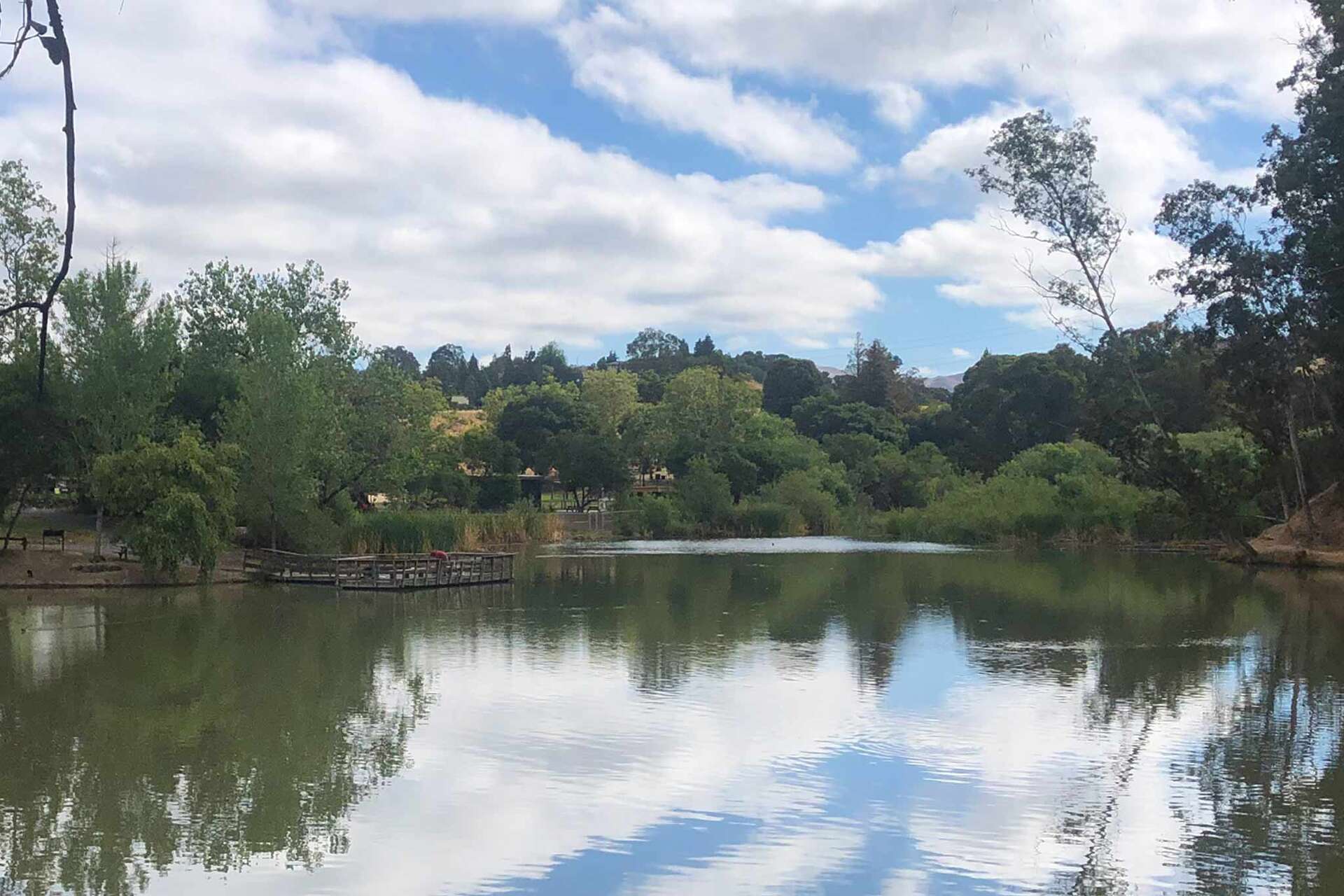 I hiked to a BARTable swimming hole right here in the East Bay