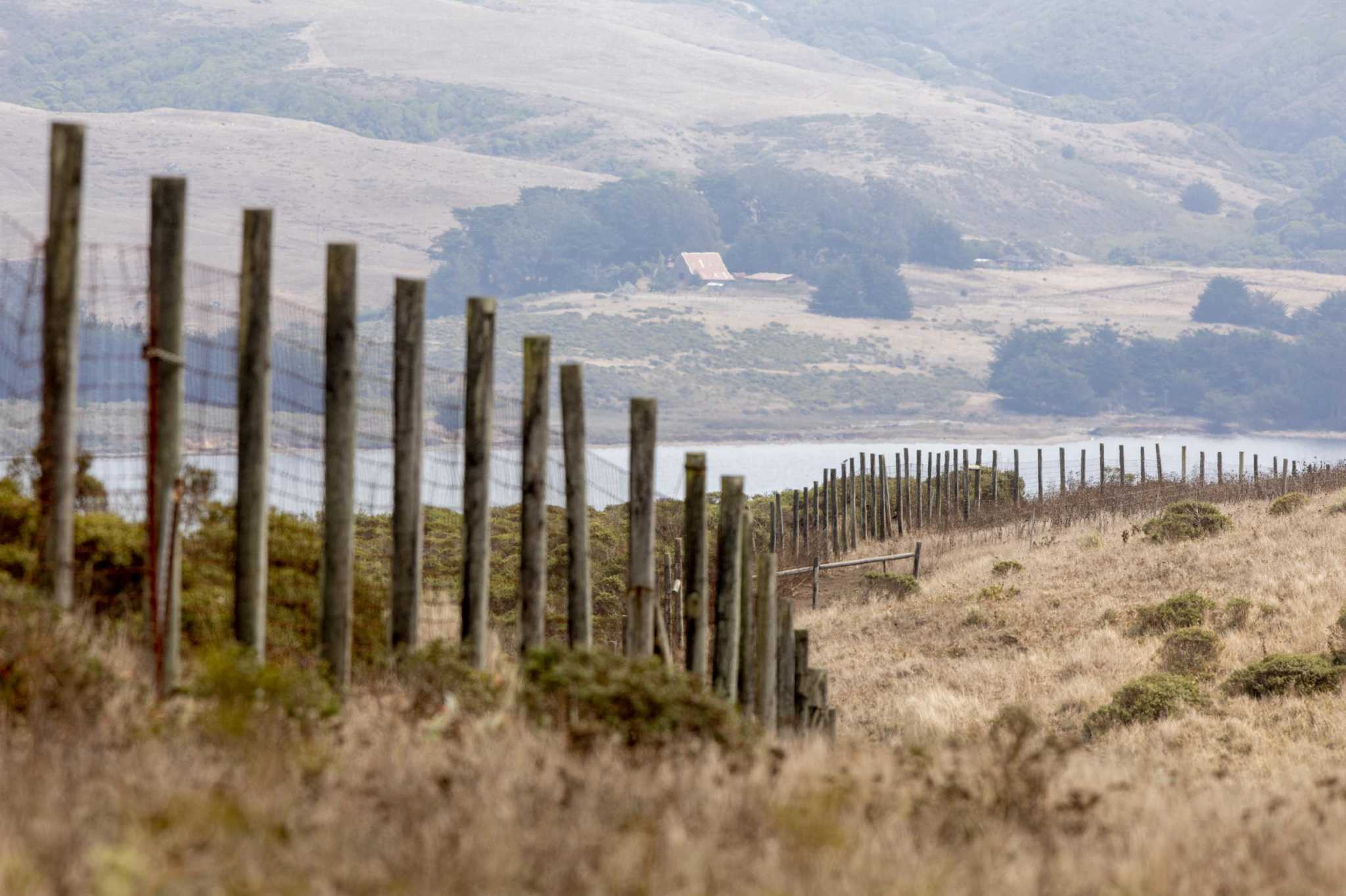 Animal rights group sues park service, says Point Reyes tule elk dying ...