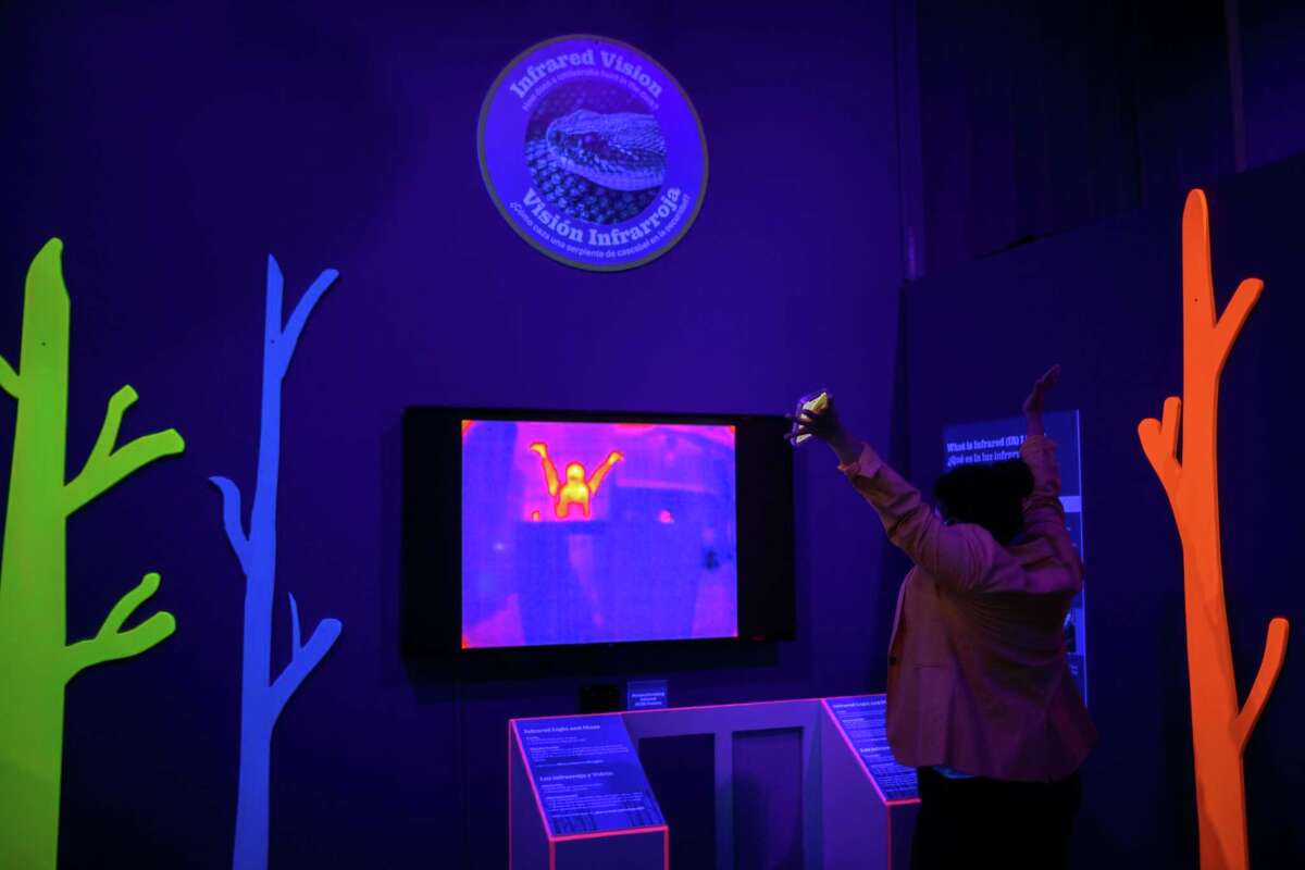 Revisiting Houston’s Museum District? Here's what you need to know.