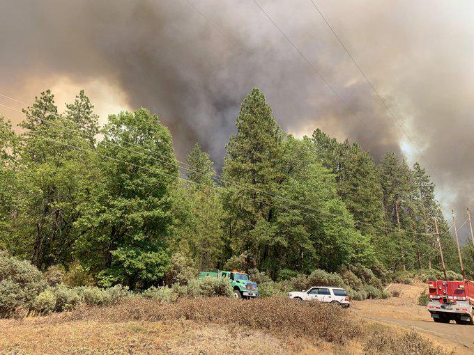Salt Fire in Shasta County scorches 1,000 acres amid hot, windy conditions