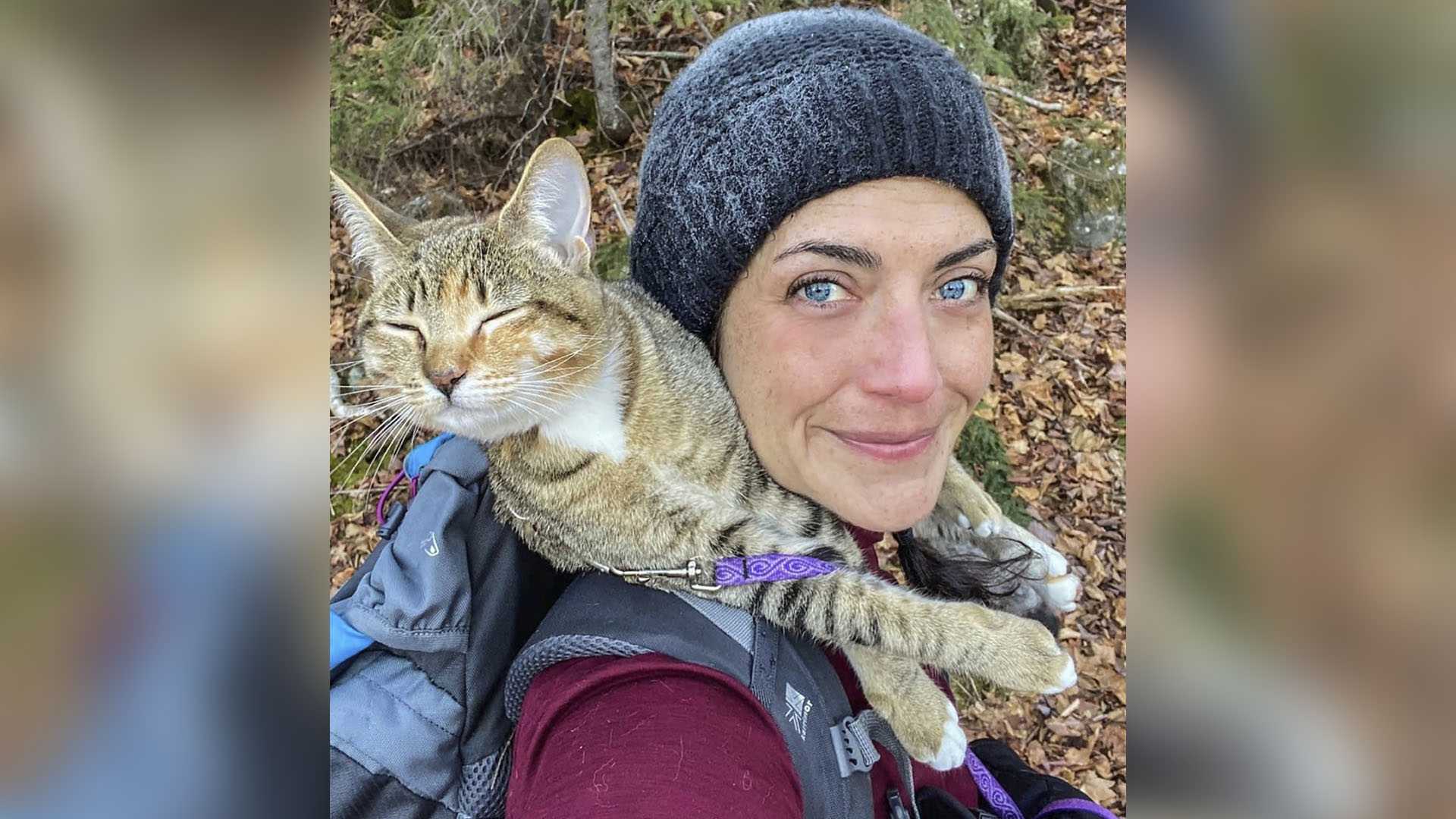 A rescue cat named Floki summits to New Hampshire’s 48 tallest ...