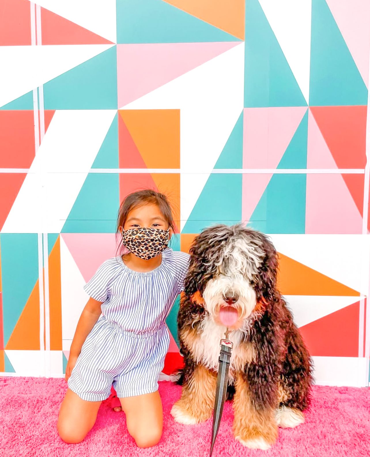 SoNo Collection’s rooftop ‘Pup Brunch’ invites guests to dine with ...